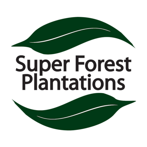 Australian Forest Grower Magazine - Super Forest Plantations