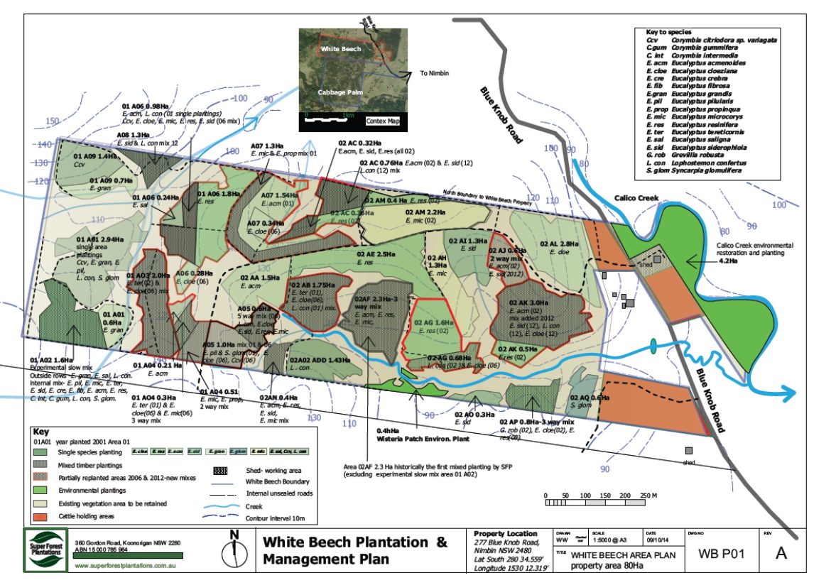 map_whitebeech - Super Forest Plantations