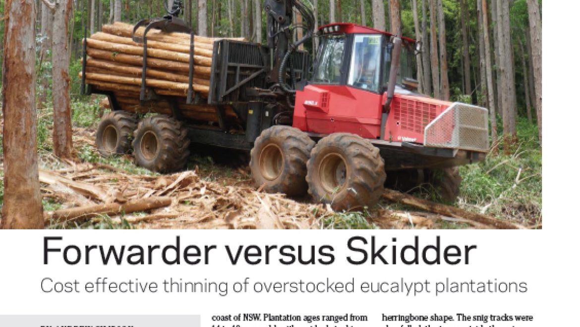 Thinning overstocked Plantations - Super Forest Plantations