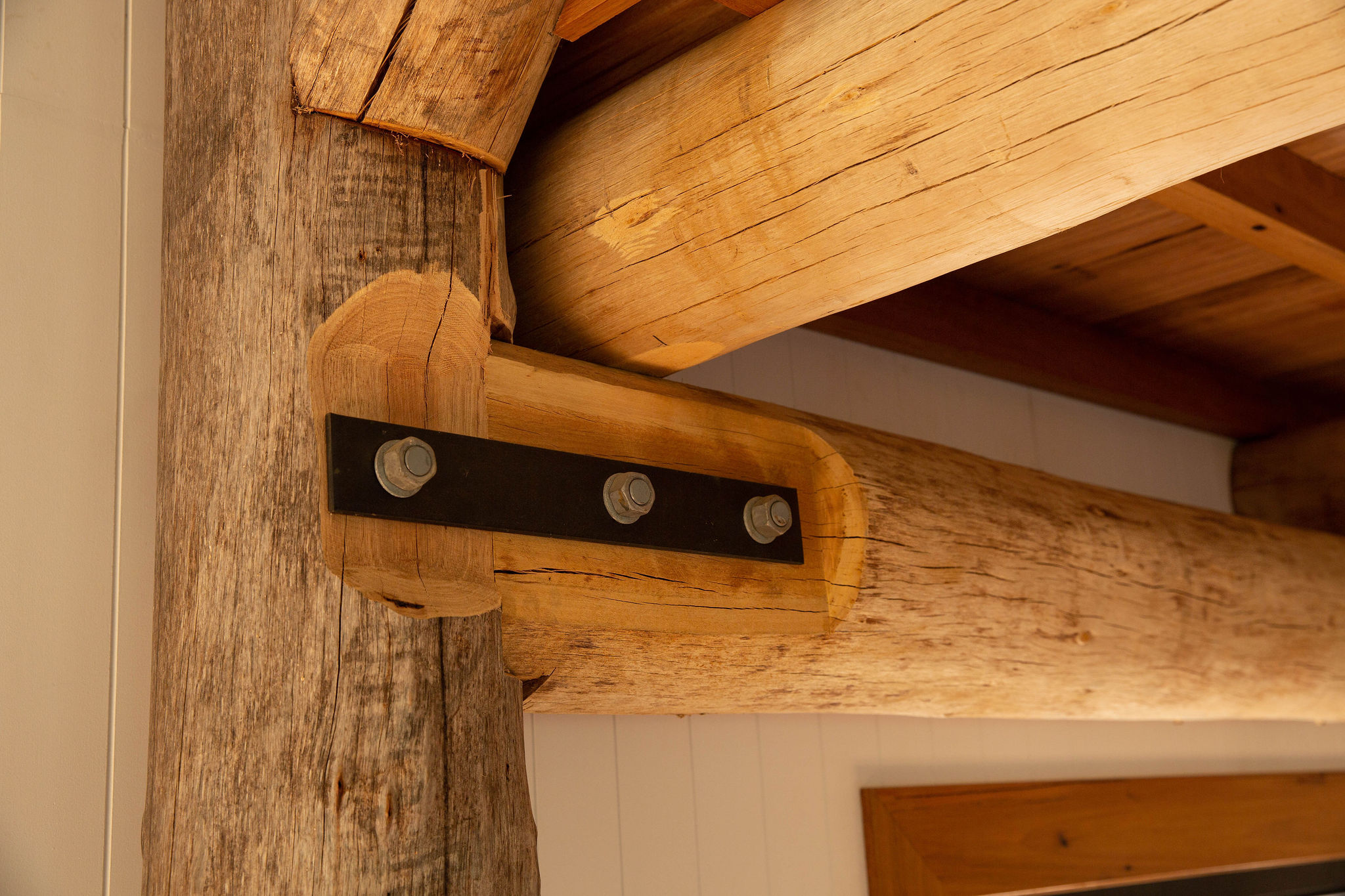 Timber products - Super Forest Plantations