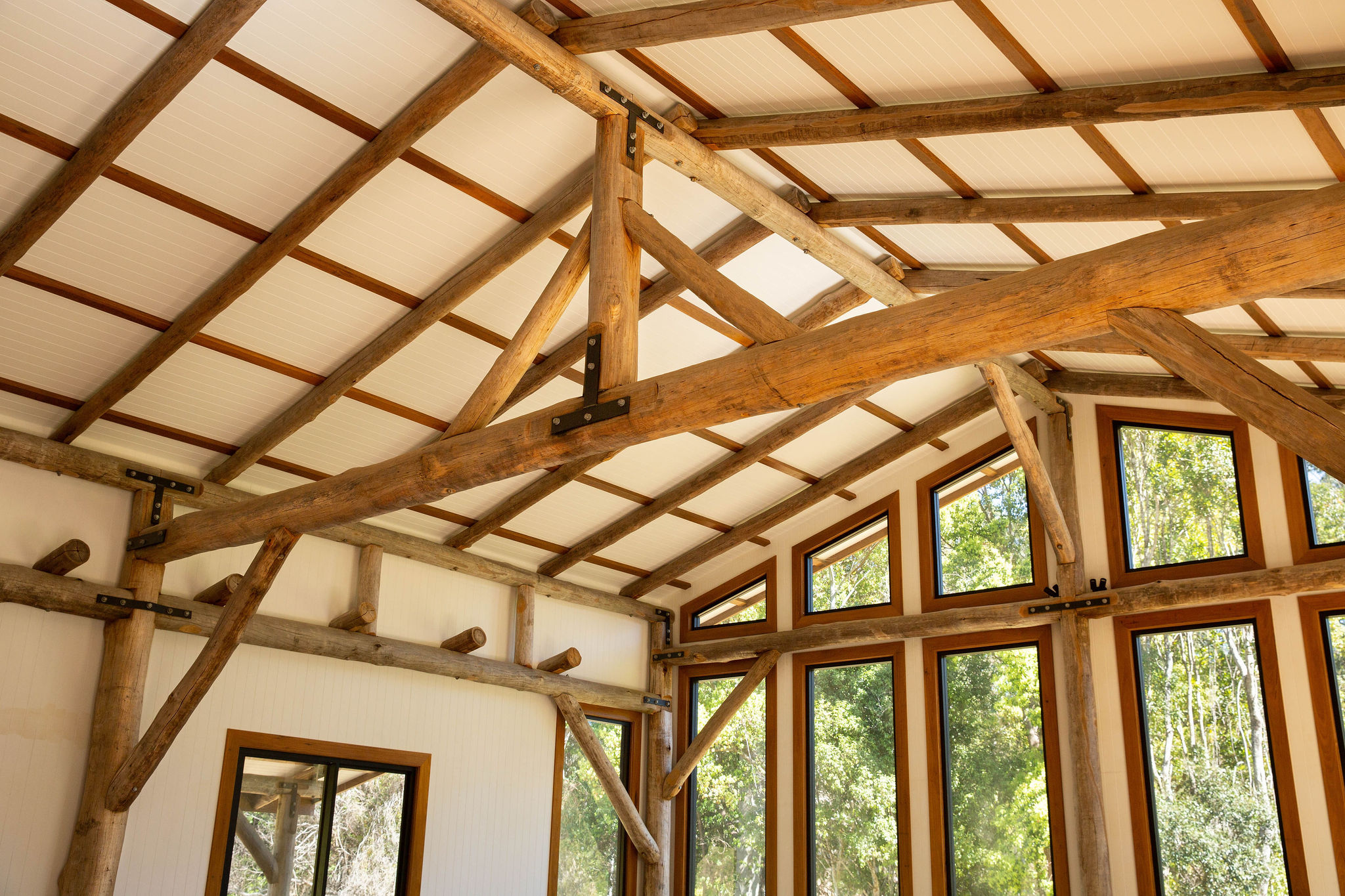 Timber products - Super Forest Plantations